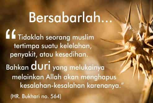 Kisah Inspiratif Islami yang Membuat Hatimu Bergetar - parasayu.net