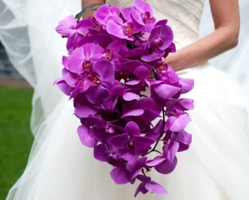 Macam-Macam Bunga Pernikahan dan Maknanya - parasayu.net