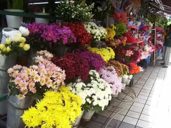 11 Toko Bunga di Medan, Berkualitas Harga Terjangkau - parasayu.net