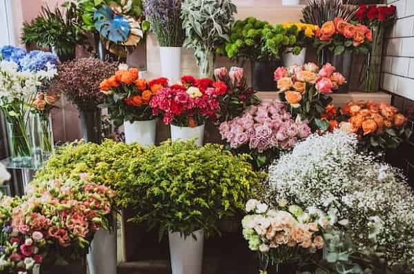10 Rekomendasi Toko Bunga di Batam Berkualitas - parasayu.net
