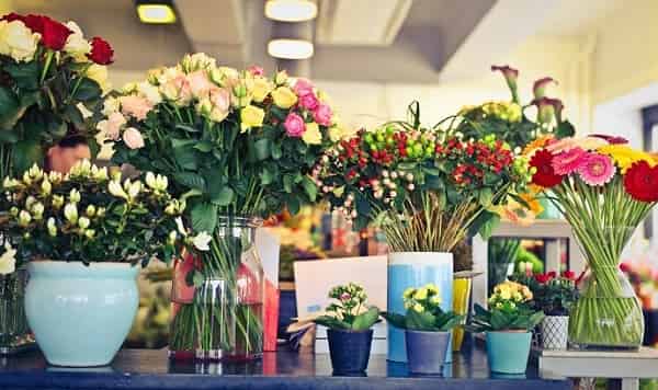 8 Toko Bunga di Serpong Bagus & Berkualitas - parasayu.net