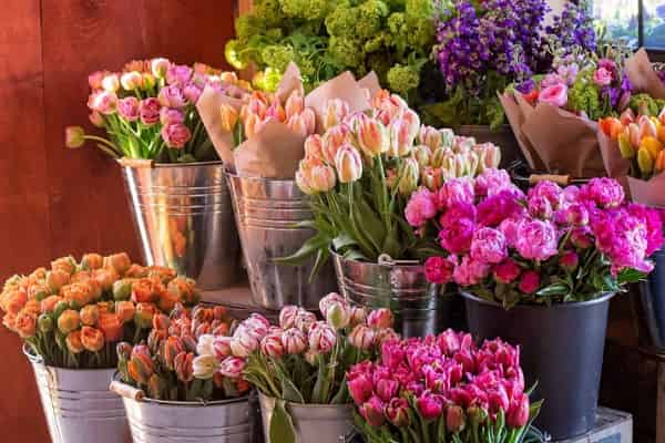 12 Toko Bunga di Jakarta Pusat, Lengkap & Berkualitas - parasayu.net