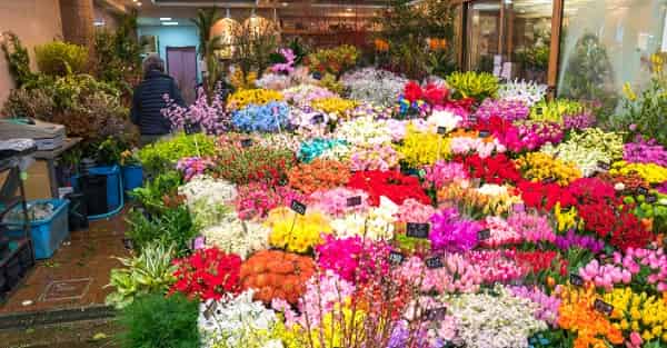 10 Toko Bunga di Yogyakarta, Bagus & Berkualitas - parasayu.net