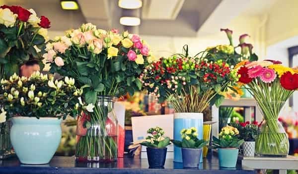 10 Toko Bunga di Pontianak, Lengkap & Berkualitas - parasayu.net