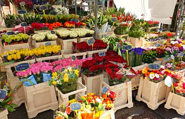 10 Toko Bunga di Makassar, Lengkap & Berkualitas - parasayu.net